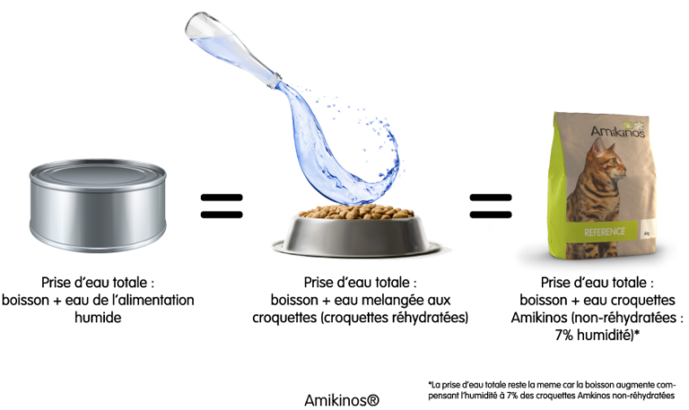 Nourriture humide : Est-elle vraiment indispensable pour les chats